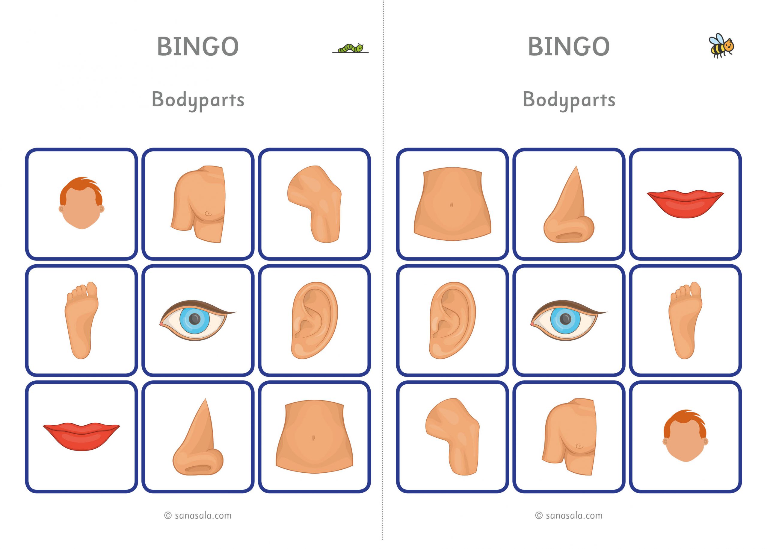 Bodyparts - Bingo | Sanasala Learning