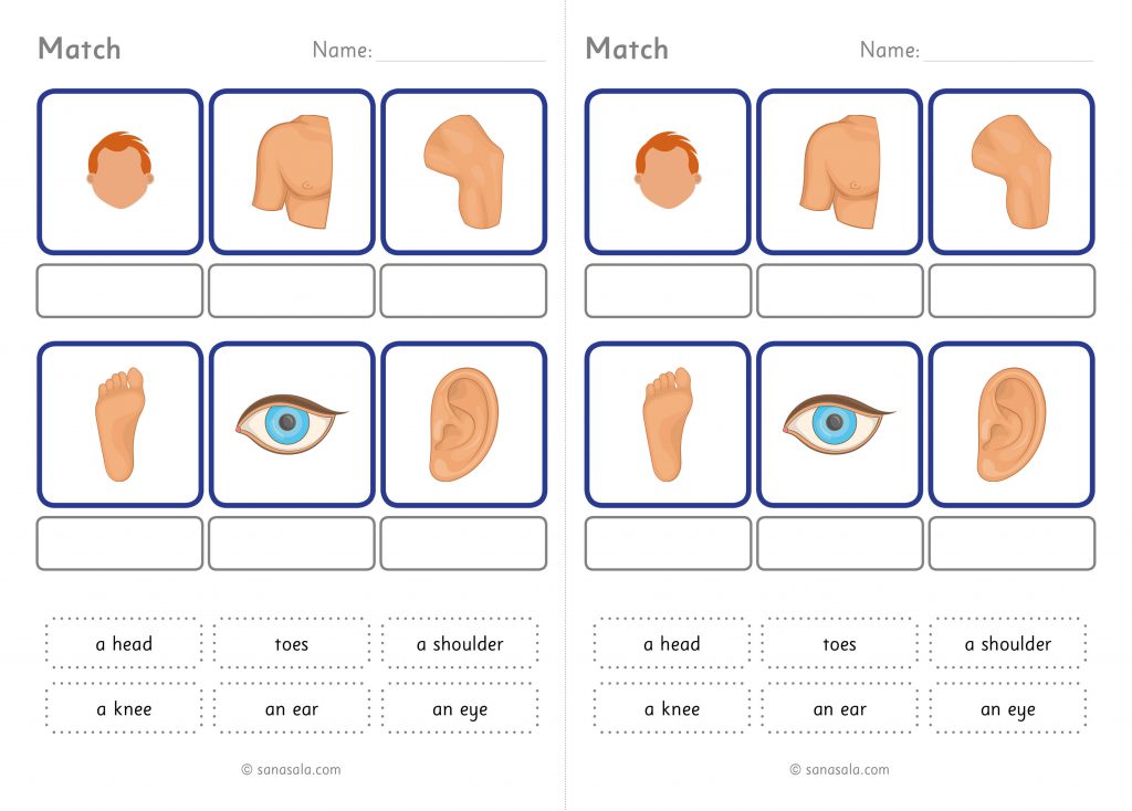 Bodyparts - Match Worksheet | Sanasala Learning